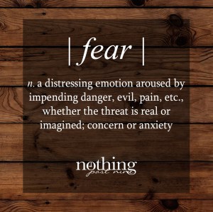 Creative Business Dictionary: Fear | Nothing Past Nine