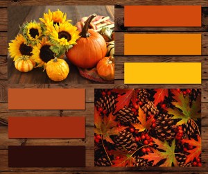 Changing Fall Colors | Nothing Past Nine